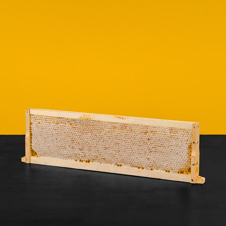 Australian Ideal Slotted Honeycomb Frames (Box of 7) - pick up only ...
